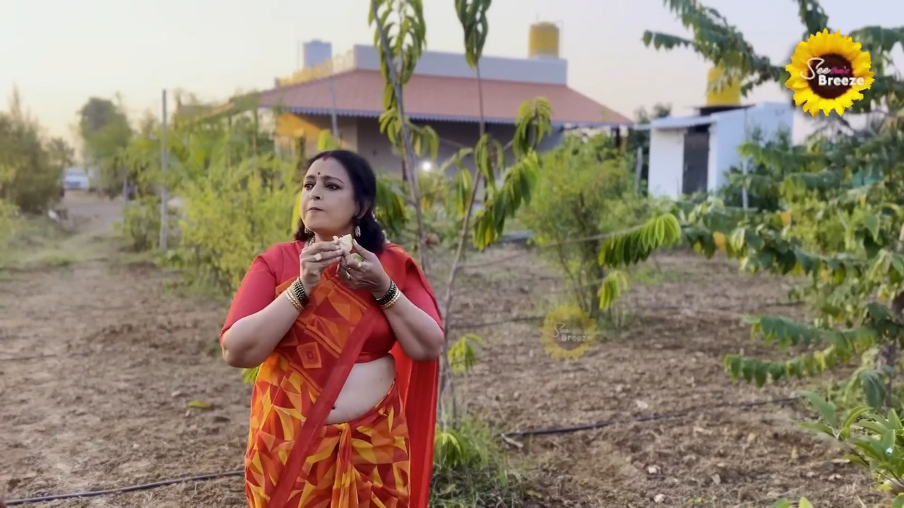 Matured Seetha open intentional navel show in orange saree mp4 snapshot 00 26 184 — Postimages