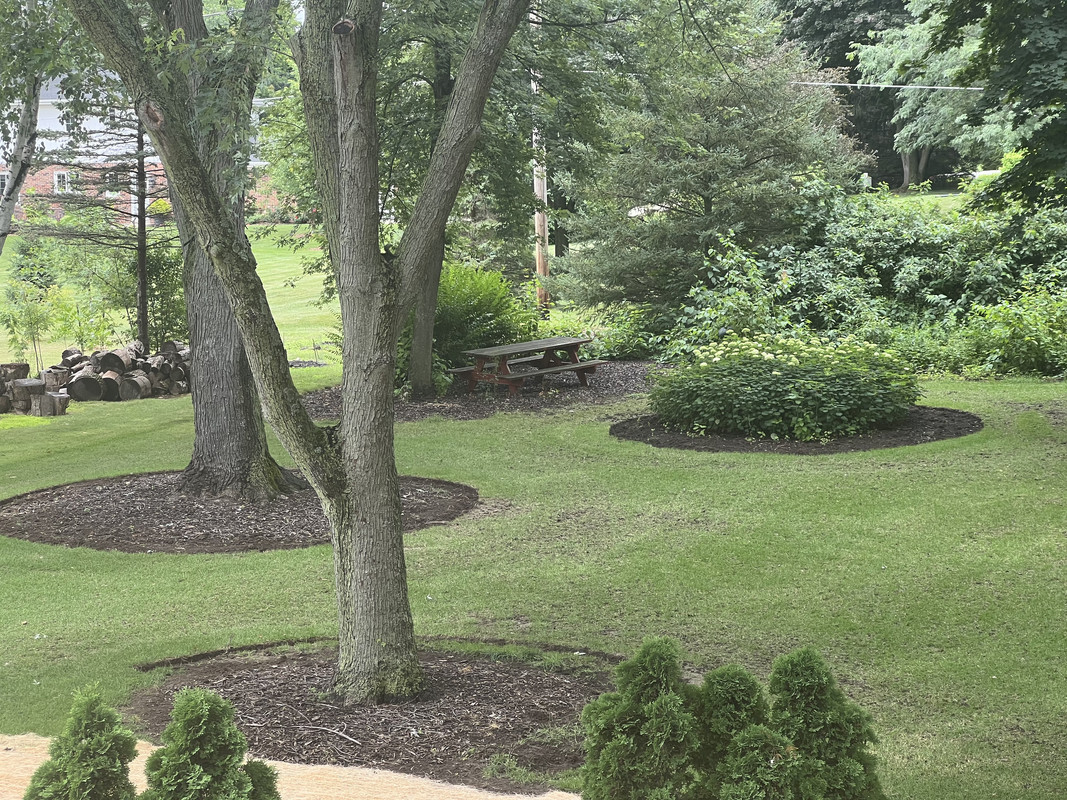 Back 1 — Postimages