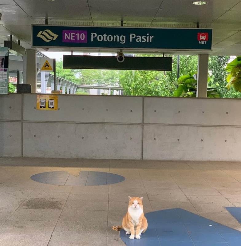 Potong Pasir MRT Station Guardian Angel