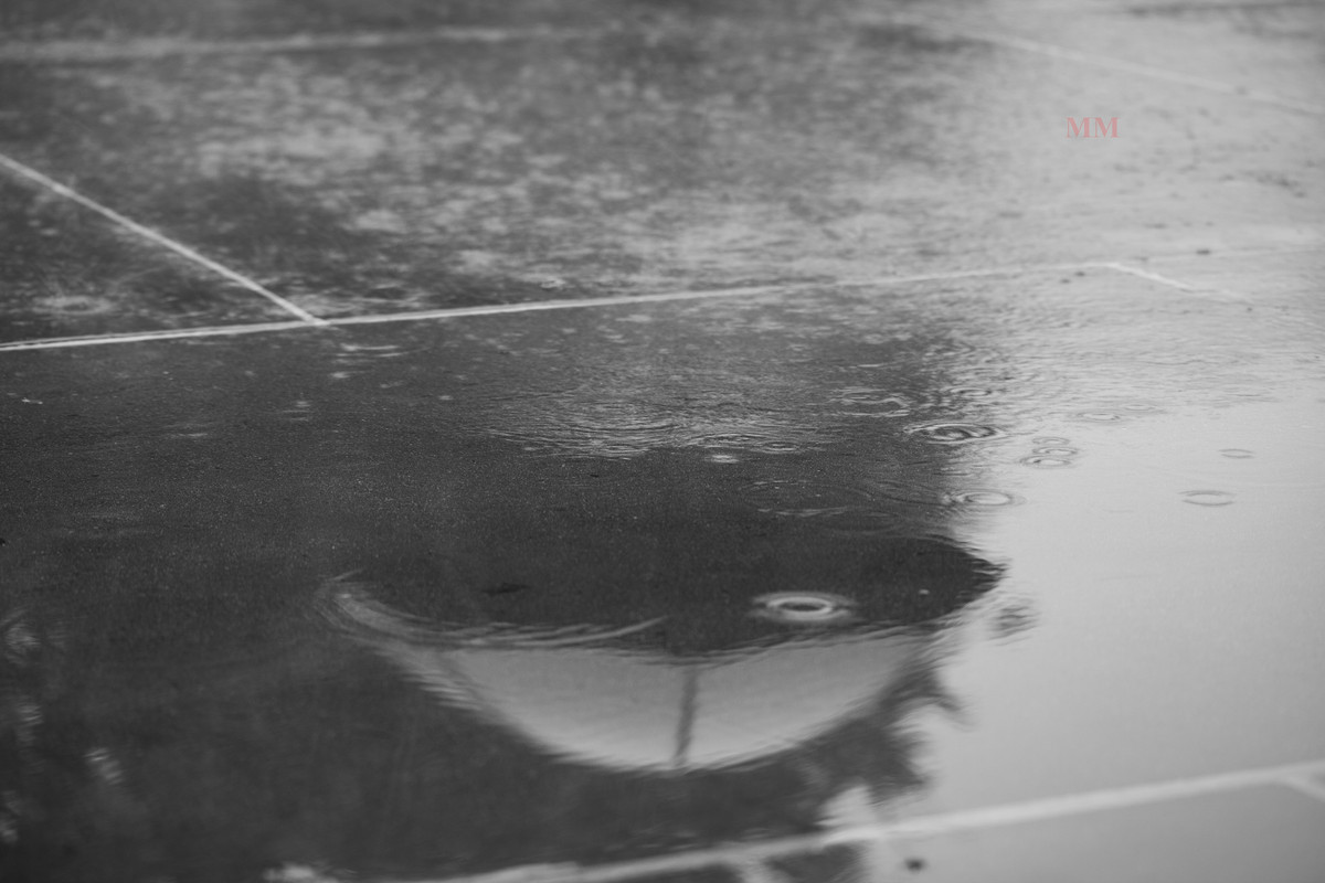 rain 11 mm — Postimages