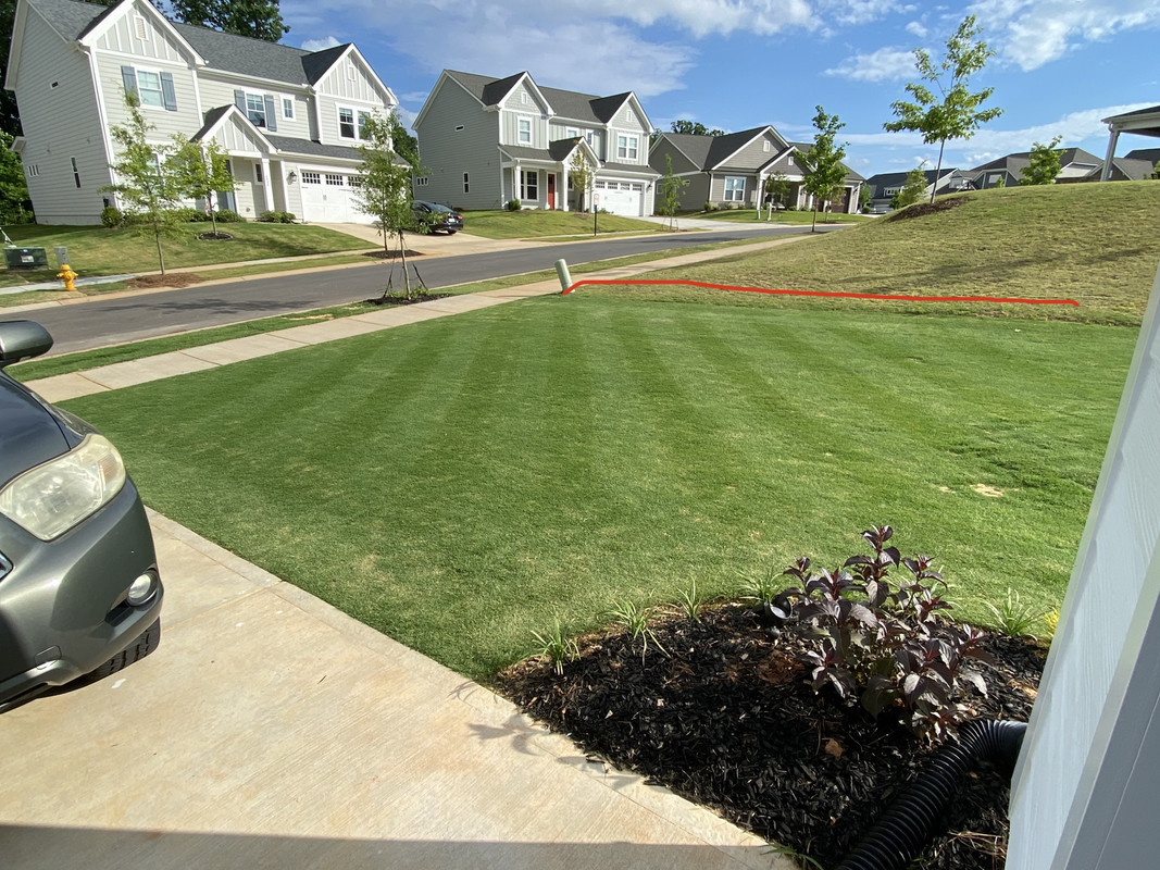 Ideas and suggestions for a property boundary shrub | Lawn Care Forum