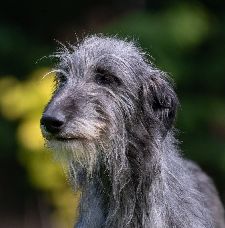 IMG 2073 — Postimages