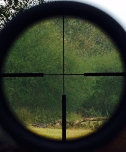 Leica amplus 6 opinions/reviews - 24hourcampfire