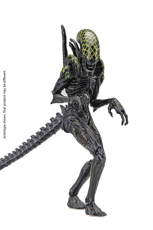 AVP GRID ALIEN PX FIGURE 001 — Postimages