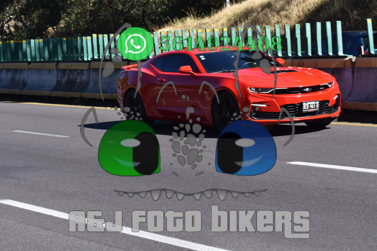 AVQ 1731 — Postimages