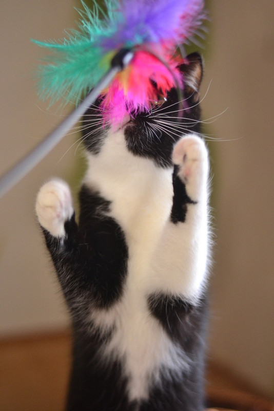 DSC 0348 — Postimages