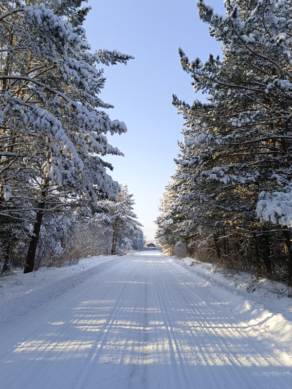 IMG 20231127 123911 232 — Postimages