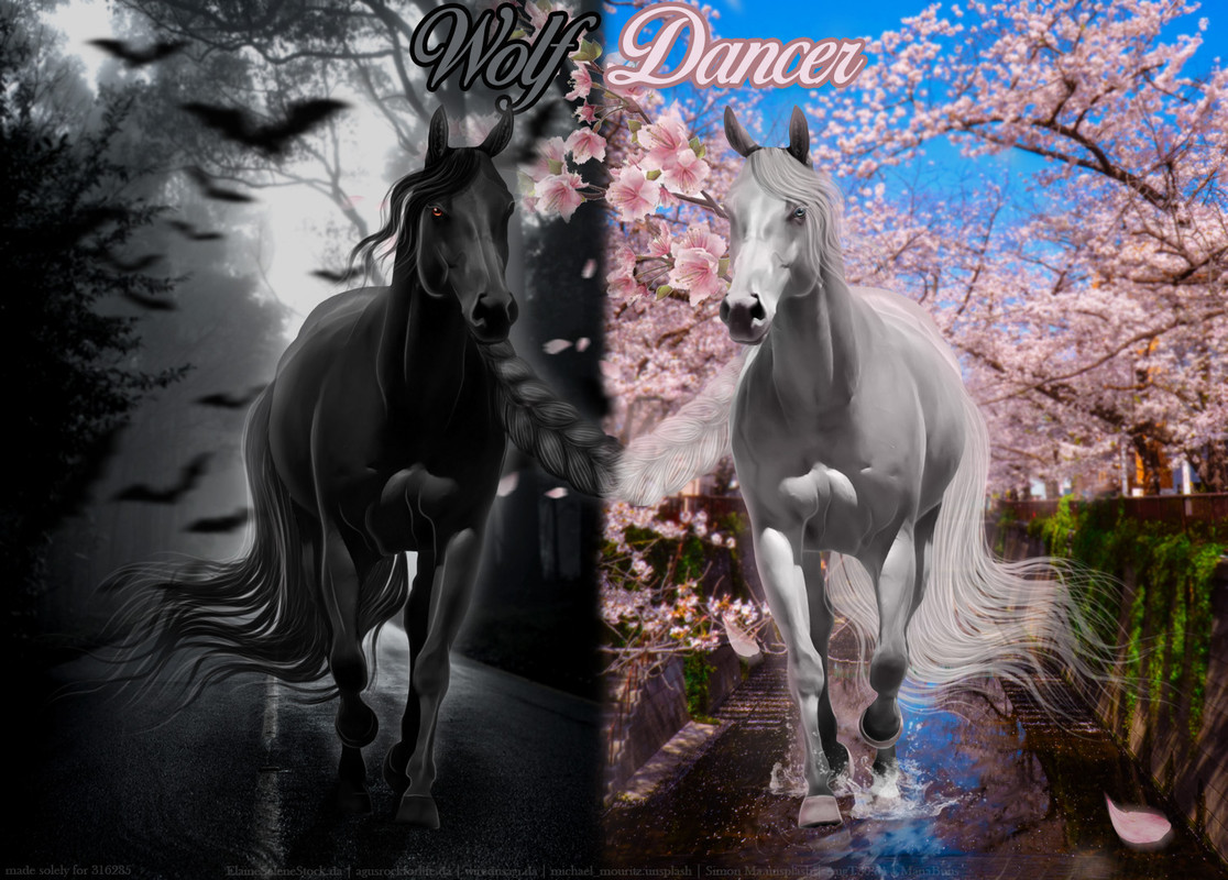 wolf comm bio — Postimages