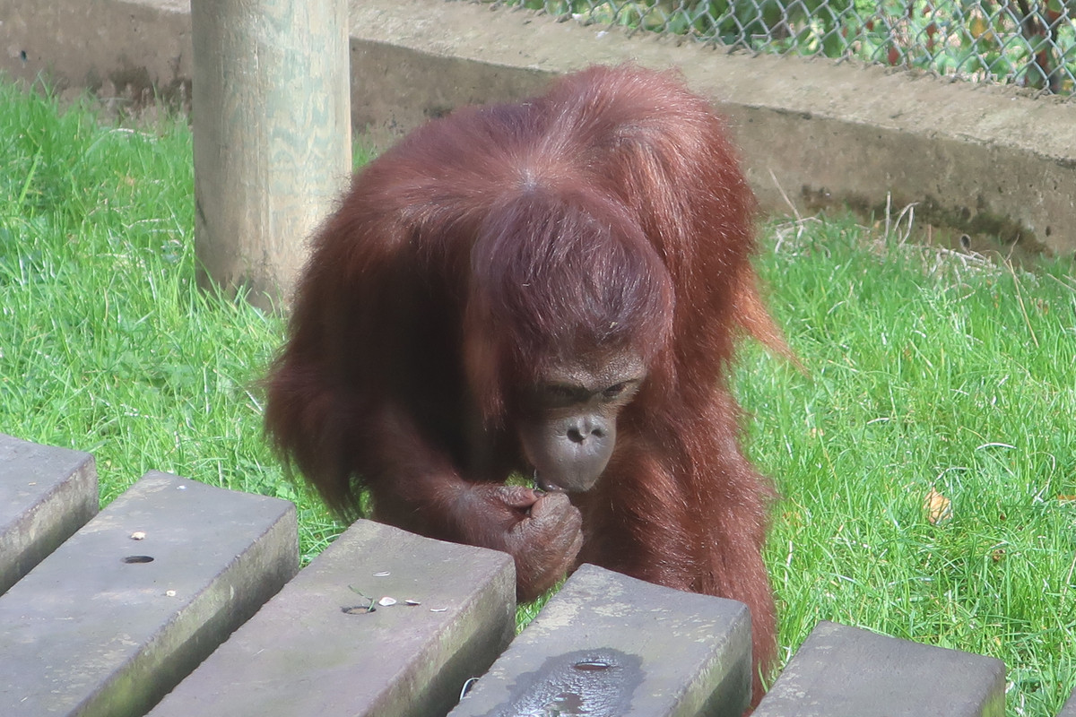 IMG 2467 — Postimages