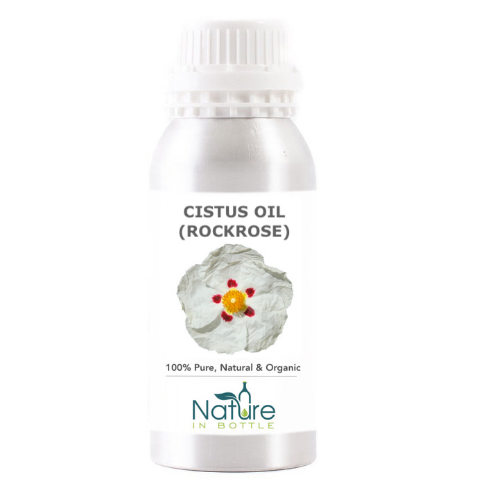 Cistus Rockrose Essential Oil Organic - Labdanum Ladanifer