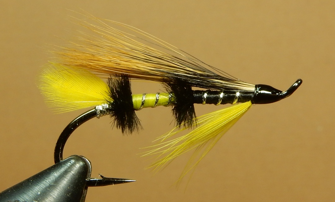 What Are You Tying Today? | Page 14 | Paflyfish