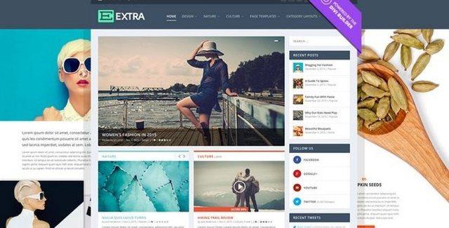 Extra Elegantthemes Premium WordPress Theme – Bliter GPL