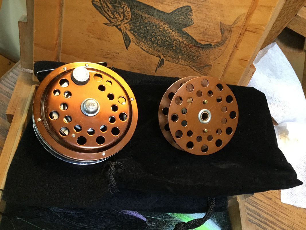 10 C299 F0 555 C 4 A34 B5 F4 E8 AB0 C6 D6861 — Postimages