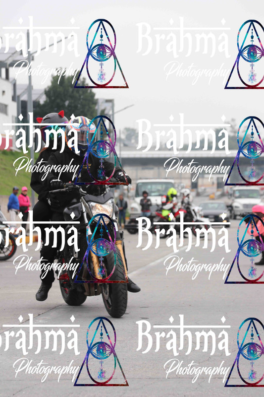 IMG 0610 — Postimages