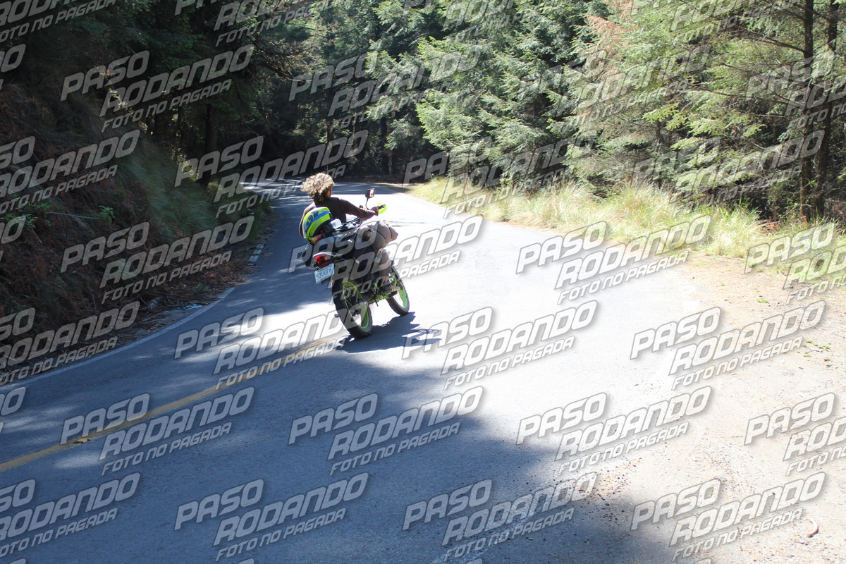 IMG 8024 wm 1078228 5 watermarked — Postimages