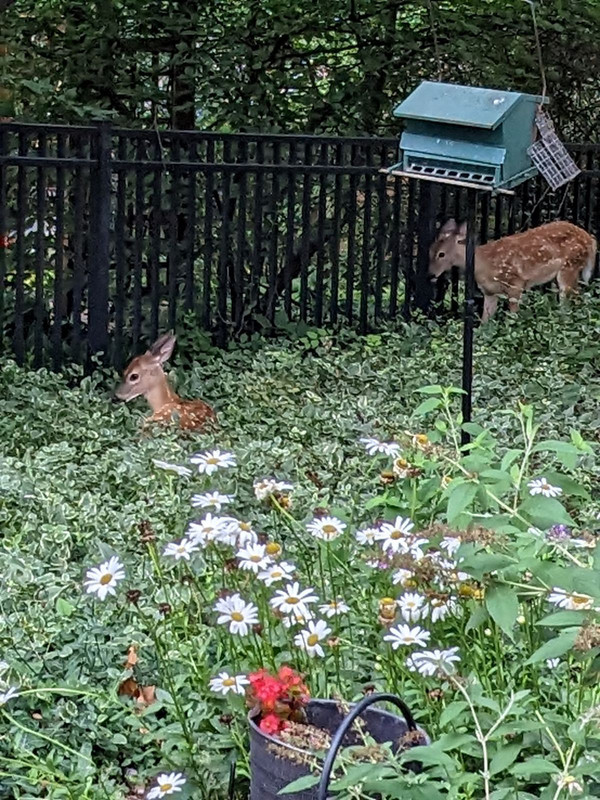 image000000 20230816 160451 — Postimages