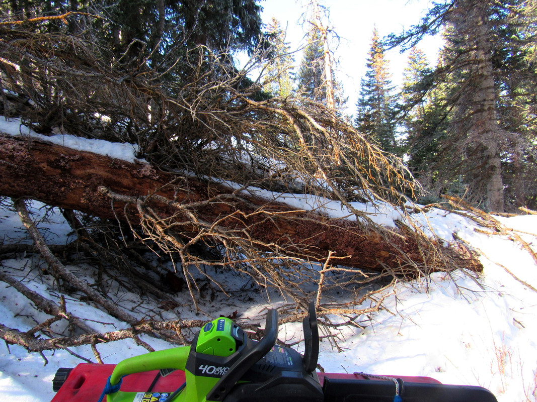 IMG 2946 — Postimages