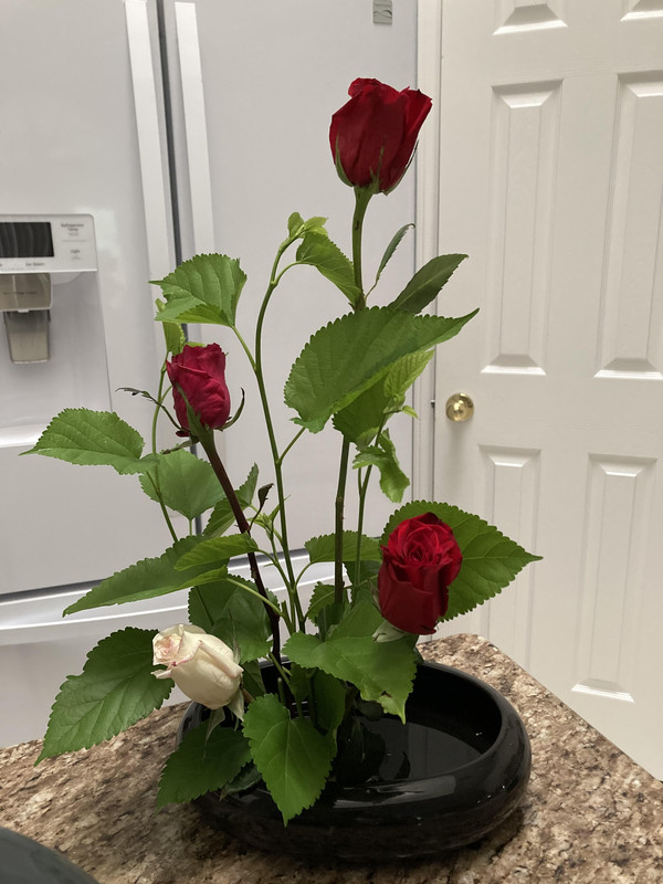 Flower arrangement — Postimages