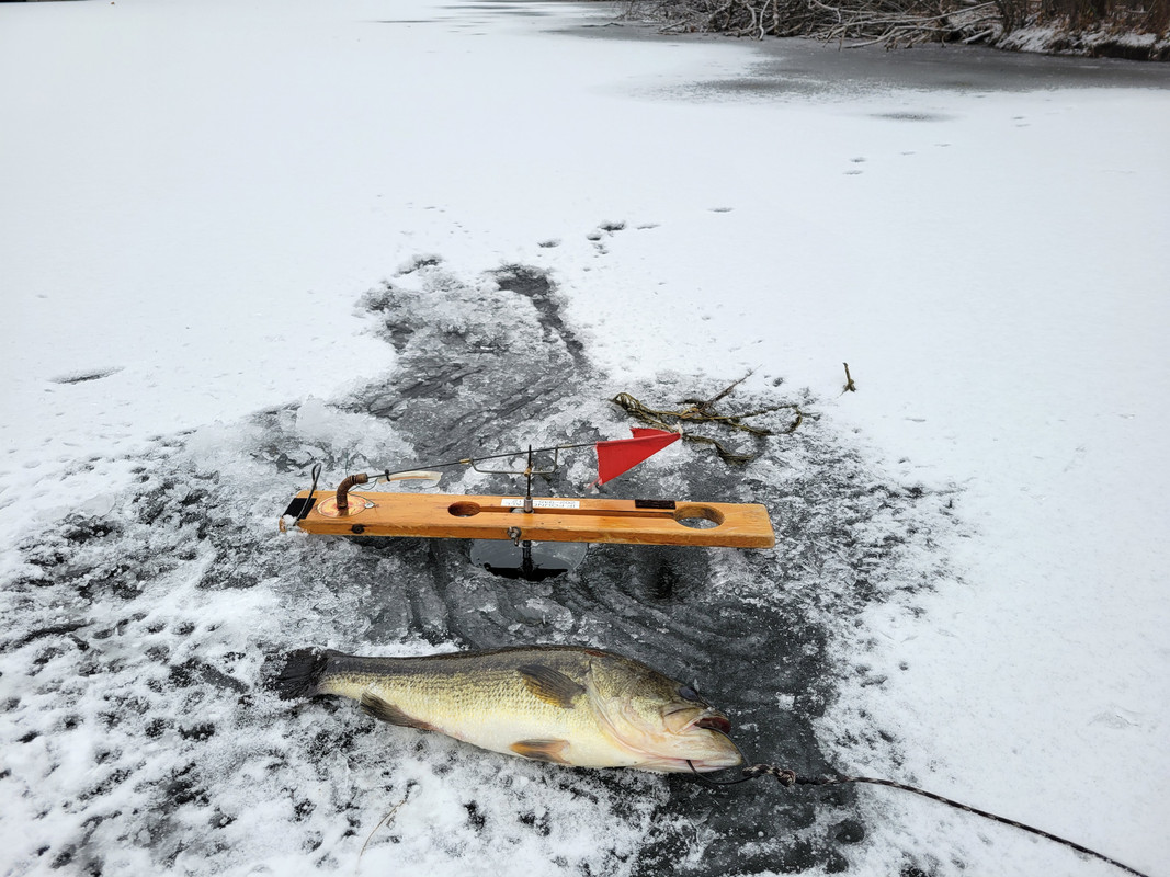 20241218 101525 — Postimages