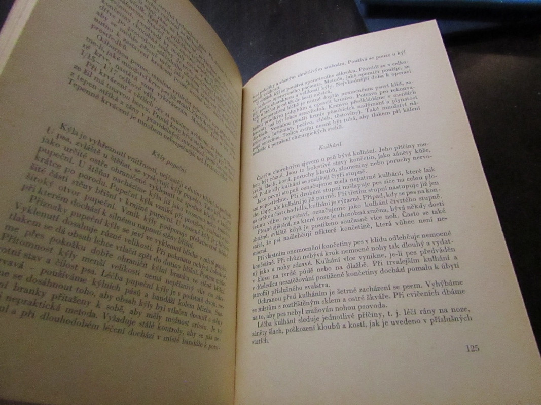 IMG 4635 — Postimages