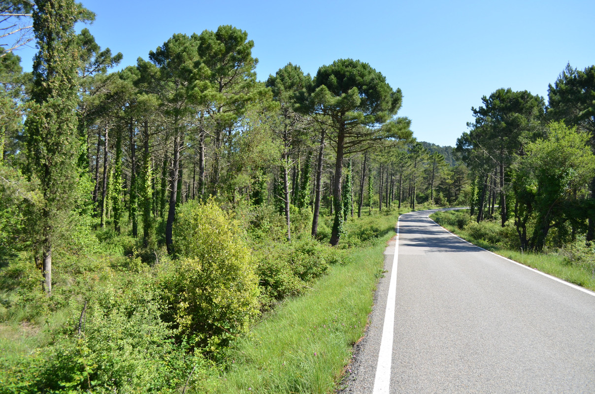 DSC 0106 — Postimages