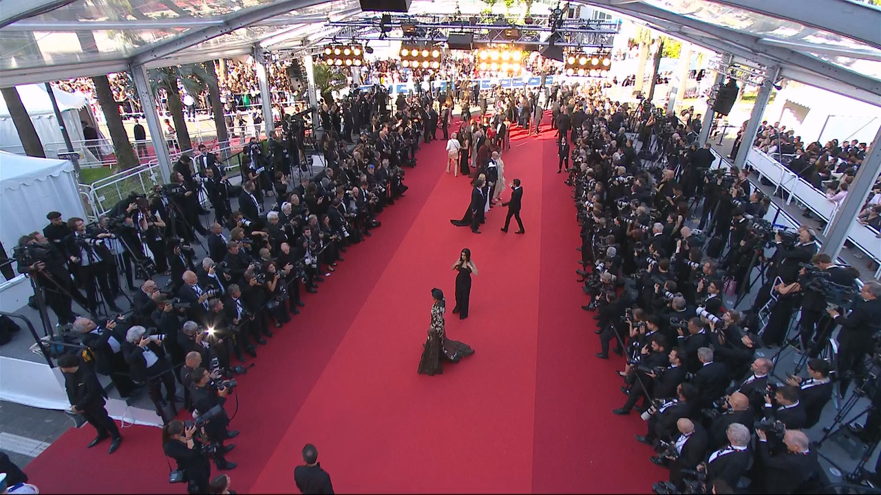 INTER FESTIVALE DE CANNES ( ADVALEM) (8 0 W 12714 V 7198) — Postimages