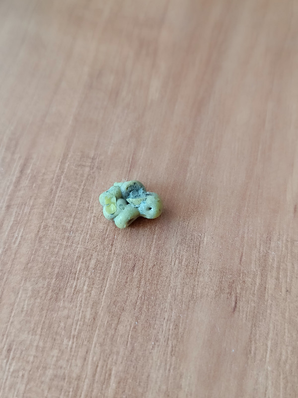 IMG 20231016 152419 469 — Postimages