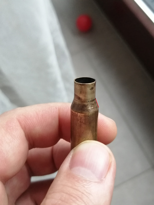 luska i szyjka — Postimages