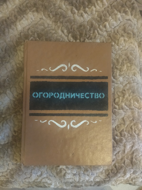 IMG 20250412 160922 — Postimages