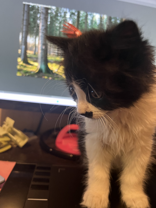 IMG 5159 — Postimages