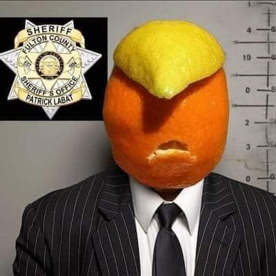 Trump Mugshot Memes | Temple of TCAP