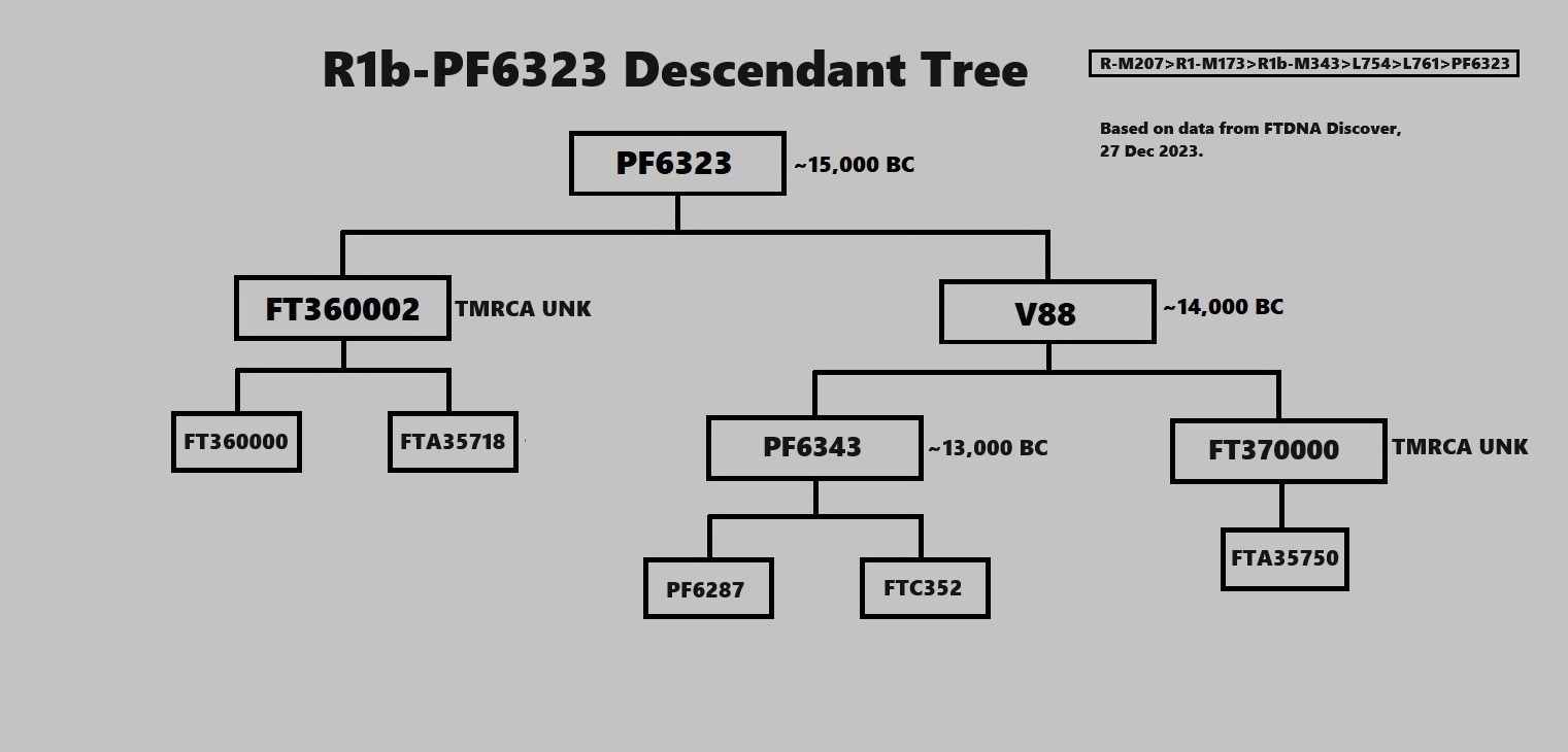 R1b PF6323 Descendant Tree — Postimages
