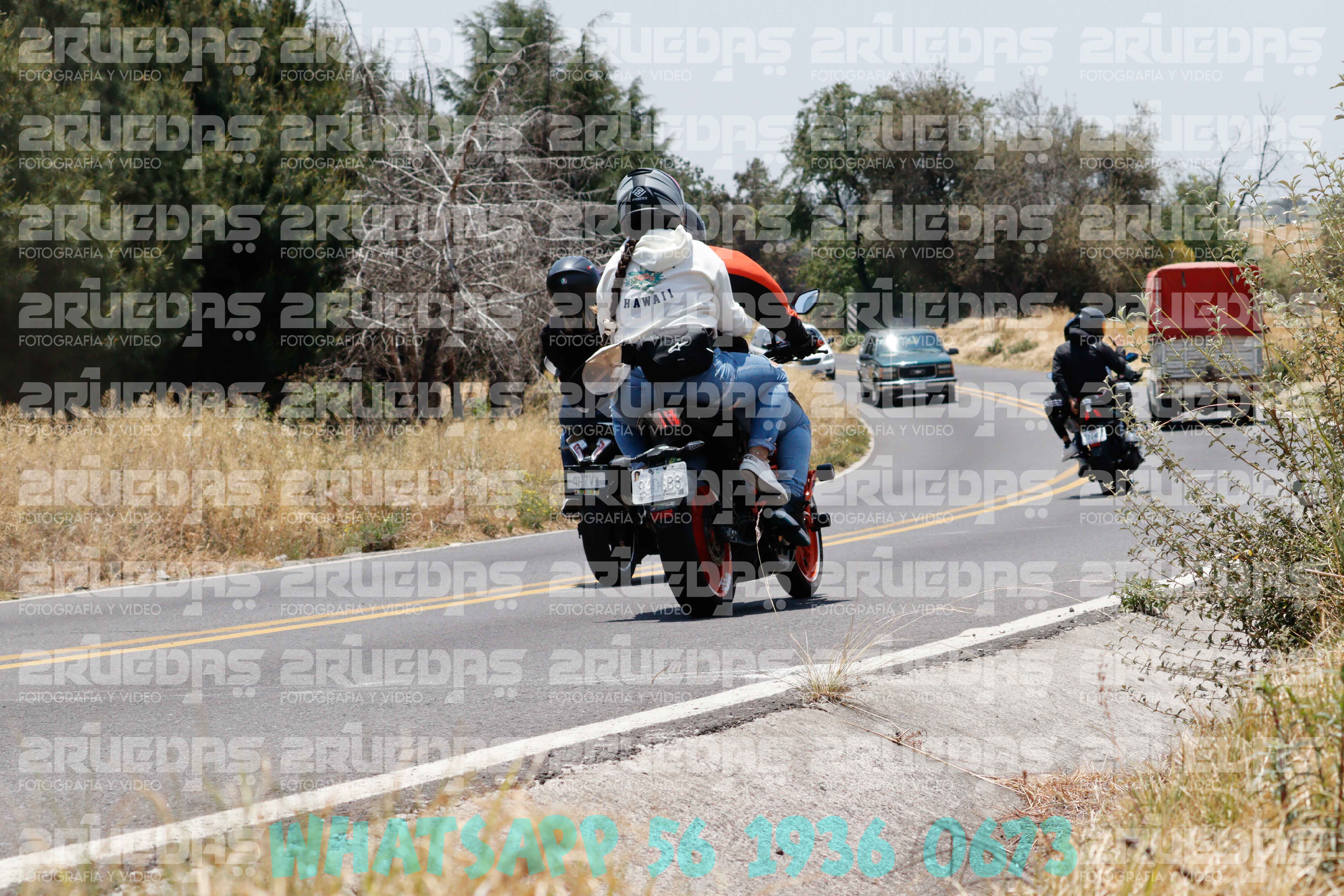 MG 1008 — Postimages