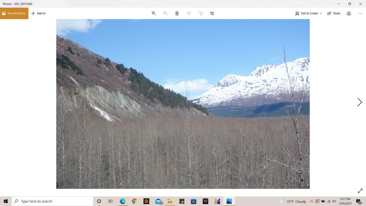 Screenshot (504) — Postimages