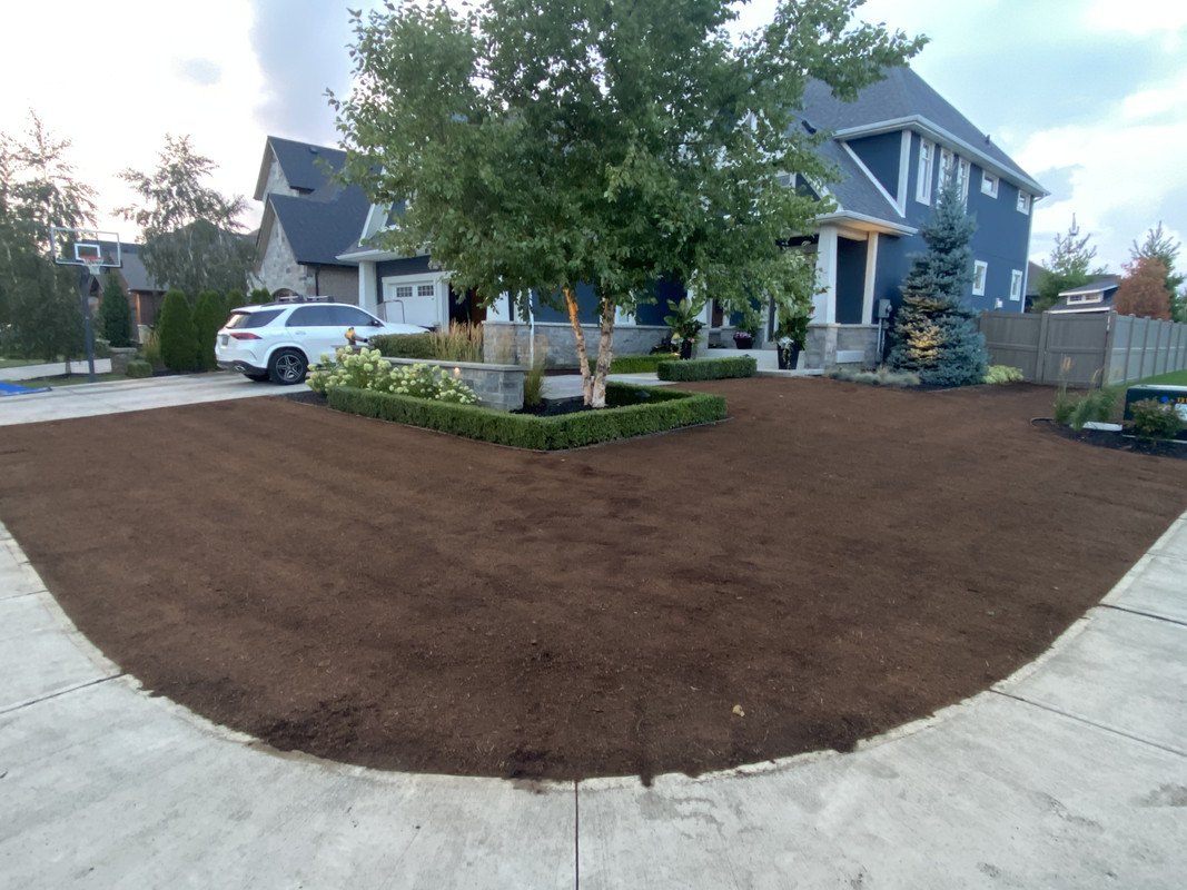 031 B8 F9 C 25 F8 4961 B8 C4 89497 Dfa84 E7 — Postimages