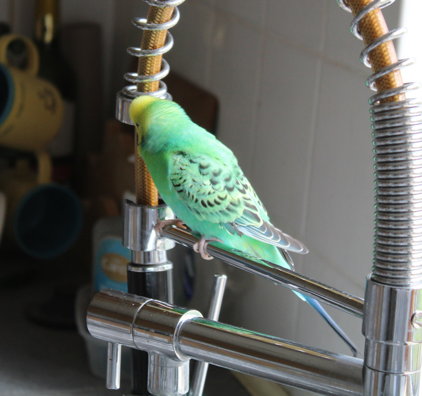 20230913110356 img 1098 — Postimages