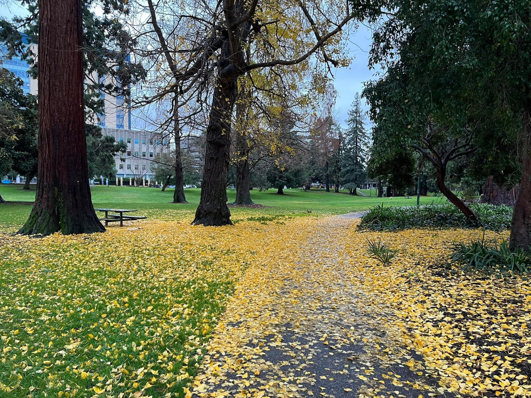 IMG 0109 — Postimages