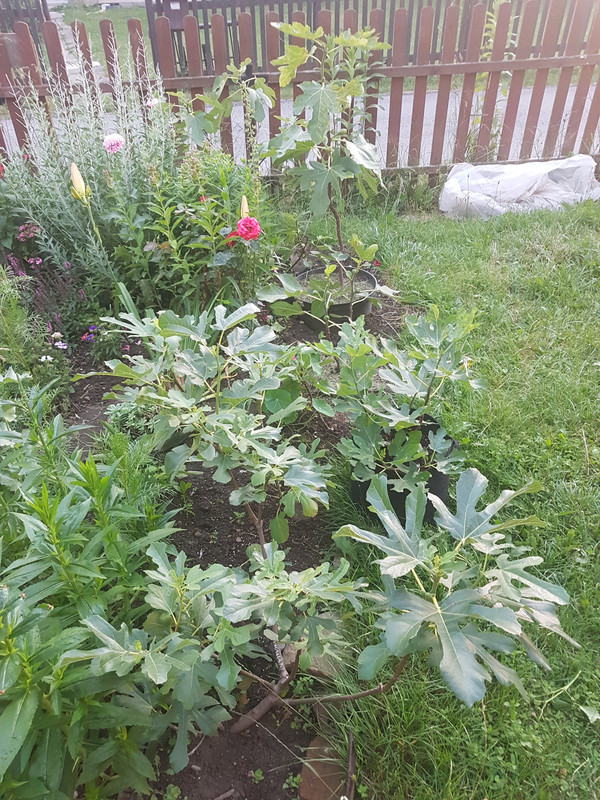 20220628 210631 — Postimages