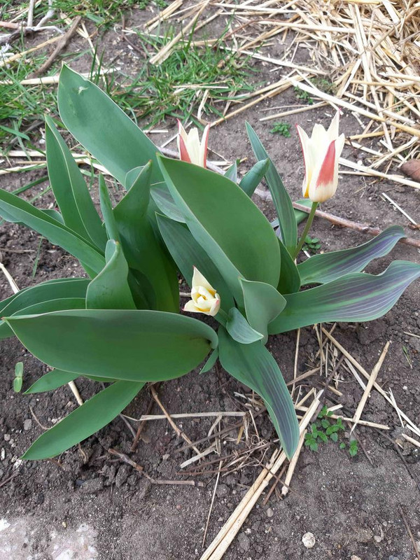 20190309 133843 — Postimages