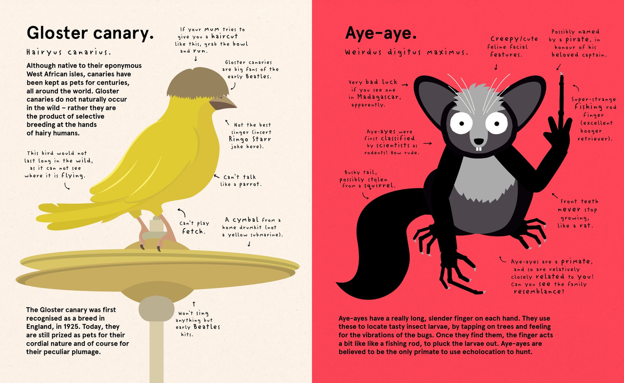 The World’s Most Pointless Animals – Philip Bunting – Schizanthus Nerd