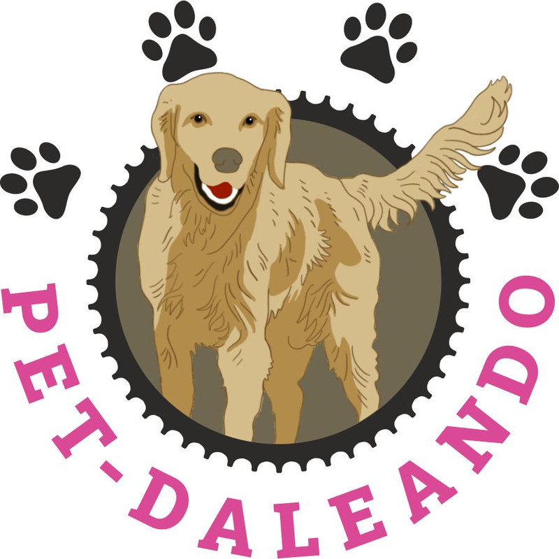 Album — Postimages