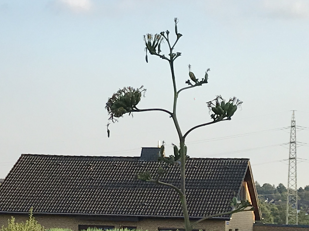 C98 A22 A8 918 E 4 B96 AC9 F EB05 E3023 B84 — Postimages