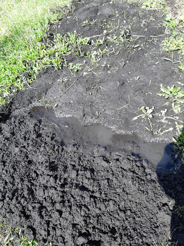 20200508 120640 — Postimages