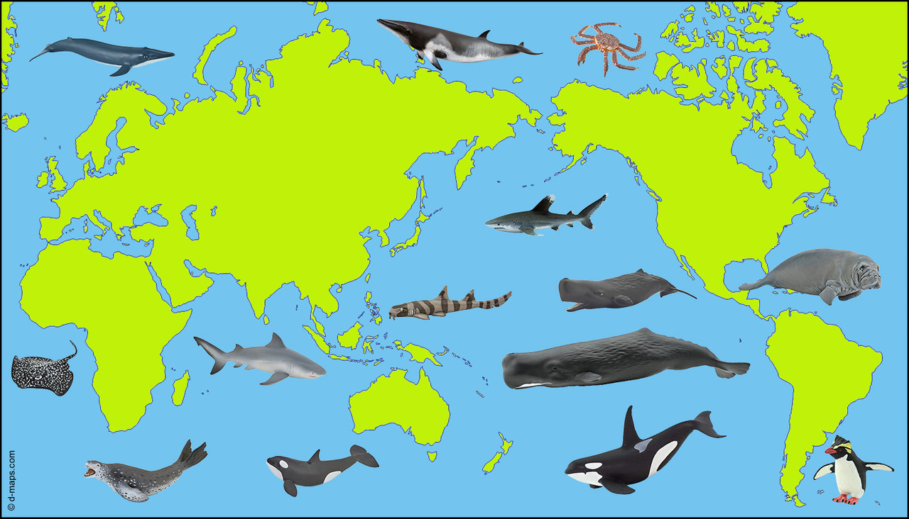 2019 Sealife from all brands with map