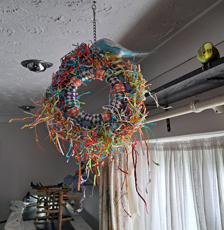 20241203 133304 — Postimages