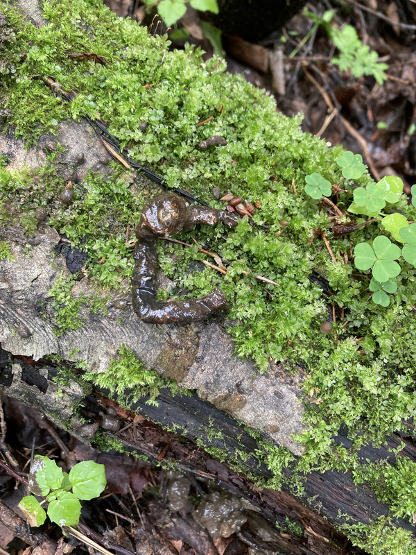 1801 E704 EB2 E 4 D55 ADB4 5 A37 B8147 B72 — Postimages