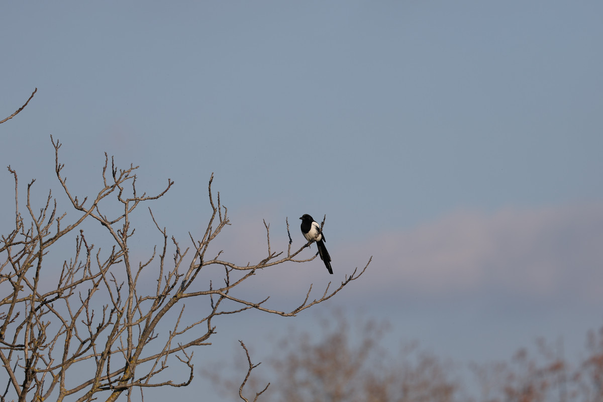 1K9A3359 — Postimages