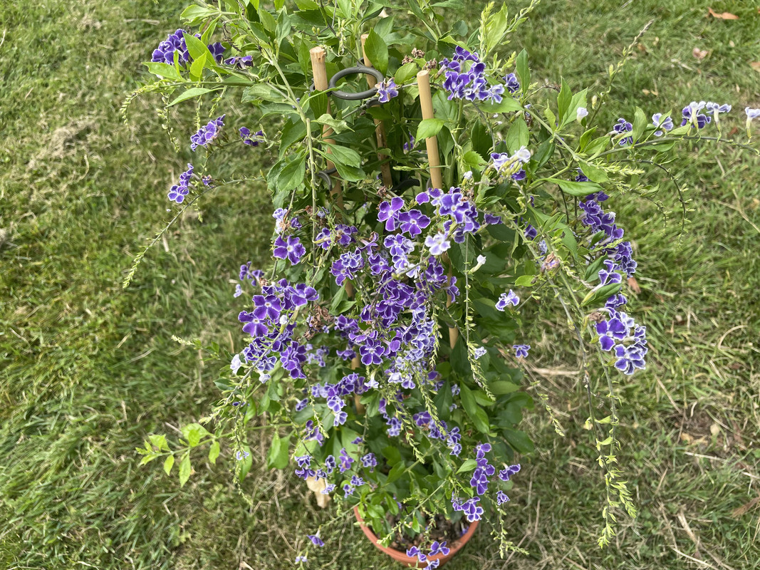 FE30 FF3 F 09 C0 49 FE A378 8313 E4 E531 FC — Postimages