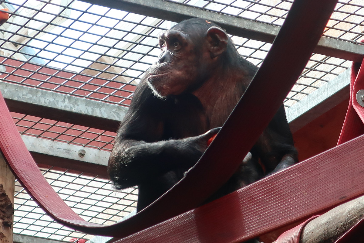 IMG 1497 — Postimages