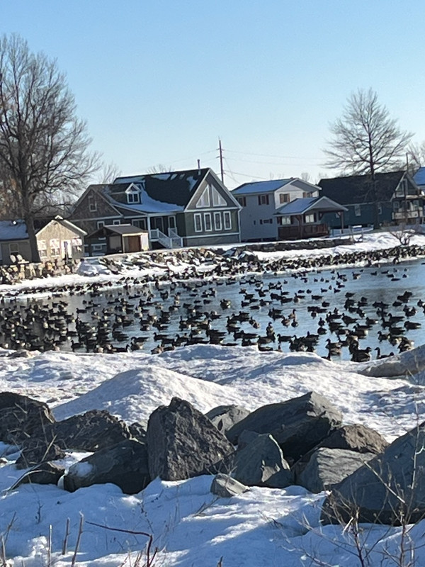 IMG 4100 — Postimages